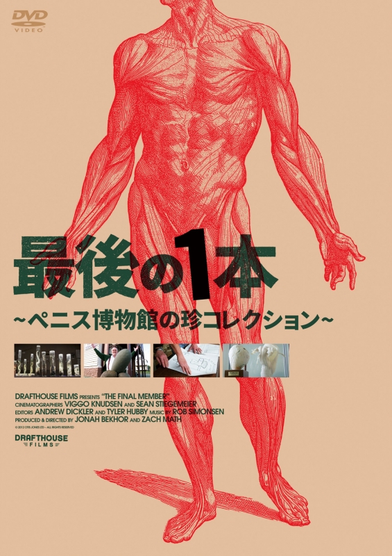 The Final Member | HMV&BOOKS online : Online Shopping & Information ...