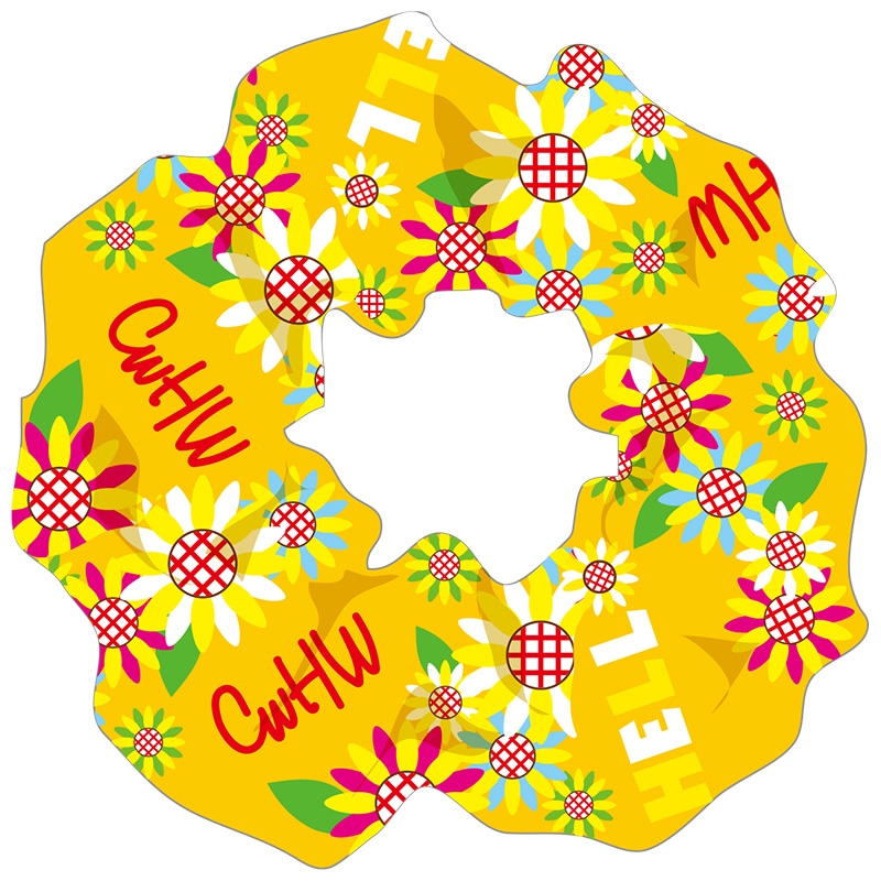 シュシュ / HELLO : CHiCO with HoneyWorks | HMV&BOOKS online - LP167314