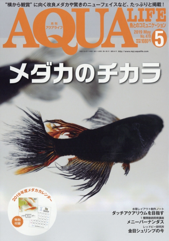 月刊 AQUA LIFE (アクアライフ)2019年 5月号 : 月刊AQUA LIFE編集部 | HMV&BOOKS online ...