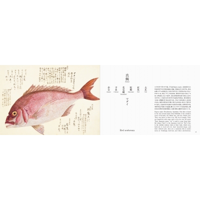 美し、をかし、和名由来の江戸魚図鑑 Fishes of Edo:A Guide to Classical Japanese Fishes : 田島一彦 | HMV&BOOKS online ...