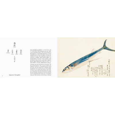 美し、をかし、和名由来の江戸魚図鑑 Fishes of Edo:A Guide to Classical Japanese Fishes : 田島一彦 | HMV&BOOKS online ...