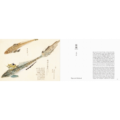 美し、をかし、和名由来の江戸魚図鑑 Fishes of Edo:A Guide to Classical Japanese Fishes : 田島一彦 | HMV&BOOKS online ...