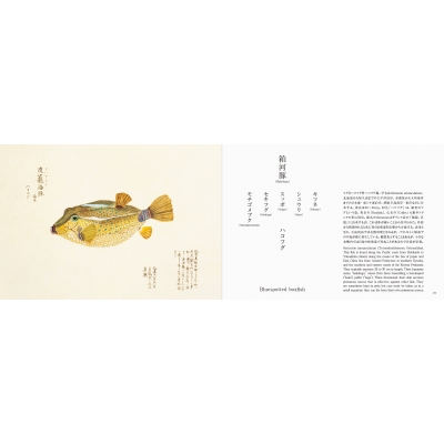 美し、をかし、和名由来の江戸魚図鑑 Fishes of Edo:A Guide to Classical Japanese Fishes : 田島一彦 | HMV&BOOKS online ...