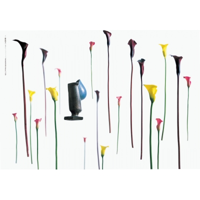Sugita Kazuya: Flowers 2024 杉田一弥作品集 : 杉田一弥 | HMV&BOOKS online ...