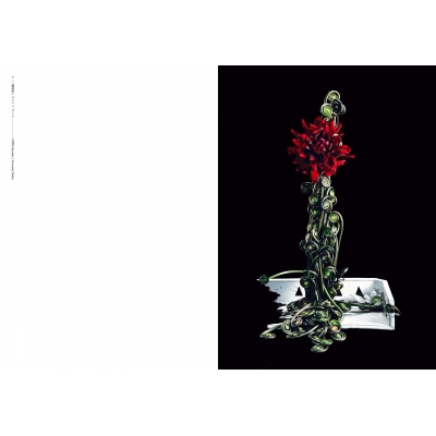 Sugita Kazuya: Flowers 2024 杉田一弥作品集 : 杉田一弥 | HMV&BOOKS online ...