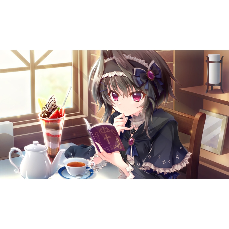 【Nintendo Switch】9-nine- : Game Soft (Nintendo Switch) | HMV&BOOKS ...