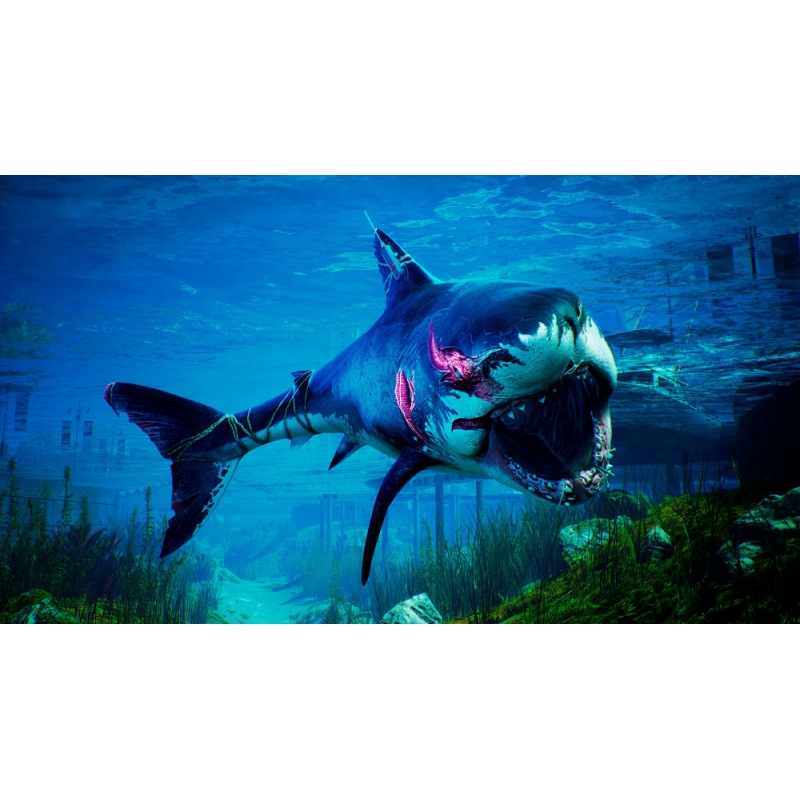 Maneater Apex Edition : Game Soft (Playstation 4) | HMV&BOOKS online ...
