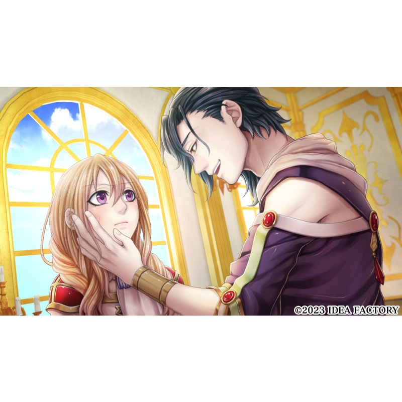 Princess Arthur for Nintendo Switch 特装版 : Game Soft (Nintendo Switch ...