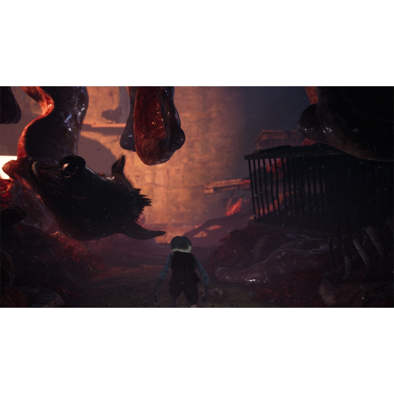 【PS5】Bramble：The Mountain King : Game Soft (PlayStation 5) | HMV&BOOKS ...